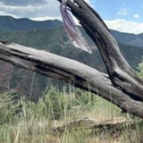 Storm King Mountain Memorial Trail, Colorado - 630 Reviews, Map | AllTrails