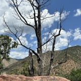 Storm King Mountain Memorial Trail, Colorado - 630 Reviews, Map | AllTrails