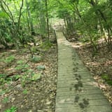 Blue Job Mountain Loop, New Hampshire - 2,209 Reviews, Map | AllTrails