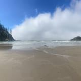 Short Sand Beach Trail, Oregon - 757 Reviews, Map | AllTrails