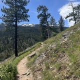 Blodgett Canyon Overlook Trail, Montana - 1,009 Reviews, Map | AllTrails