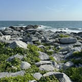 Sachuest Point National Wildlife Refuge Trail, Rhode Island - 1,909 ...