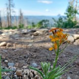 Storm Mountain, Colorado - 243 Reviews, Map | AllTrails