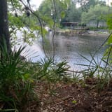 Temple Terrace Riverfront Park Trail, Florida - 35 Reviews, Map | AllTrails