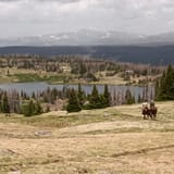 Red Lake Trail, Colorado - 169 Reviews, Map | AllTrails