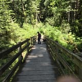 Poo Poo Point Trail, Washington - 6,584 Reviews, Map | AllTrails