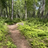 Talkeetna Lake Trail, Alaska - 720 Reviews, Map | AllTrails
