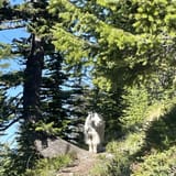 Numa Lookout, Montana - 339 Reviews, Map | AllTrails