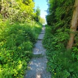 Northern State Recreation Area Loop, Washington - 578 Reviews, Map ...