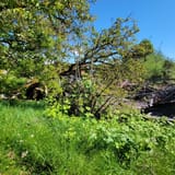 Northern State Recreation Area Loop, Washington - 578 Reviews, Map ...