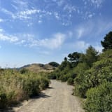 Overlook and Round Top Loop, California - 1,761 Reviews, Map | AllTrails