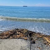 Dungeness Spit Trail, Washington - 1,634 Reviews, Map | AllTrails