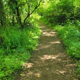 Dungeness Spit Trail, Washington - 1,634 Reviews, Map | AllTrails