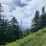 Andrews Bald Trail, North Carolina - 2,551 Reviews, Map | AllTrails