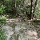 Compression Falls Trail, North Carolina - 384 Reviews, Map | AllTrails