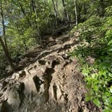 Compression Falls Trail, North Carolina - 384 Reviews, Map | AllTrails