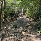 Compression Falls Trail, North Carolina - 384 Reviews, Map | AllTrails