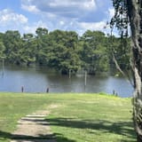 Lake Bistineau, Louisiana - 105 Reviews, Map | AllTrails