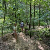 Rock Bridge Trail, Kentucky - 3,629 Reviews, Map | AllTrails