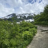 Mount Roberts Trail, Alaska - 456 Reviews, Map | AllTrails