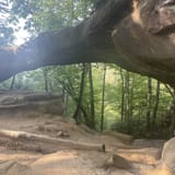 Princess Arch Trail, Kentucky - 1,407 Reviews, Map | AllTrails