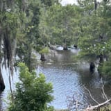 Lake Bistineau, Louisiana - 105 Reviews, Map | AllTrails