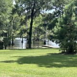 Lake Bistineau, Louisiana - 105 Reviews, Map | AllTrails