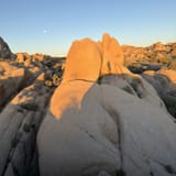 Skull Rock, California - 3,276 Reviews, Map | AllTrails