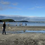 Bar Island Trail, Maine - 2,957 Reviews, Map | AllTrails