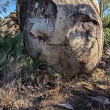 Mount Cooke Loop, Western Australia, Australia - 646 Reviews, Map ...