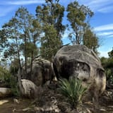 Mount Cooke Loop, Western Australia, Australia - 646 Reviews, Map ...