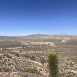 Ryan Mountain, California - 7,726 Reviews, Map | AllTrails