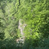 Lewis Spring Falls Trail, Virginia - 1,565 Reviews, Map | AllTrails