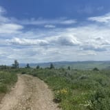 Kelly Canyon Trail, Idaho - 366 Reviews, Map | AllTrails