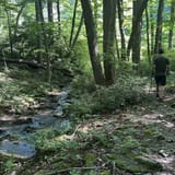 Prettyboy Reservoir Dam, Maryland - 742 Reviews, Map | AllTrails