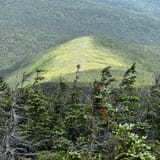 Zealand Bonds Traverse, New Hampshire - 765 Reviews, Map | AllTrails