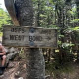 Zealand Bonds Traverse, New Hampshire - 765 Reviews, Map | AllTrails