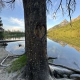 String Lake Trail, Wyoming - 2,222 Reviews, Map | AllTrails