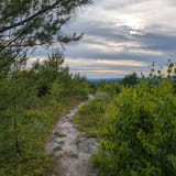 Blue Job Mountain Loop, New Hampshire - 2,209 Reviews, Map | AllTrails