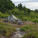 Blue Job Mountain Loop, New Hampshire - 2,209 Reviews, Map | AllTrails