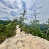 Sky Bridge Trail, Kentucky - 2,553 Reviews, Map | AllTrails