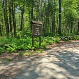 Arcadia Trail Loop, Rhode Island - 279 Reviews, Map | AllTrails