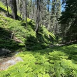 Muir Grove Trail, California - 399 Reviews, Map | AllTrails