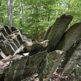 Limberlost Trail, Virginia - 933 Reviews, Map | AllTrails