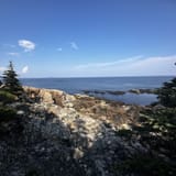 Ocean Path Trail, Maine - 3,554 Reviews, Map | AllTrails