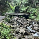 The Flume Gorge Trail, New Hampshire - 4,494 Reviews, Map | AllTrails