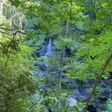 Issaqueena Falls Trail, South Carolina - 872 Reviews, Map | AllTrails