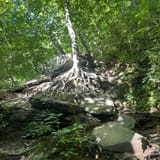 Issaqueena Falls Trail, South Carolina - 872 Reviews, Map | AllTrails