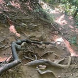 Issaqueena Falls Trail, South Carolina - 872 Reviews, Map | AllTrails