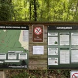 Seneca Rocks Trail, West Virginia - 3,028 Reviews, Map | AllTrails